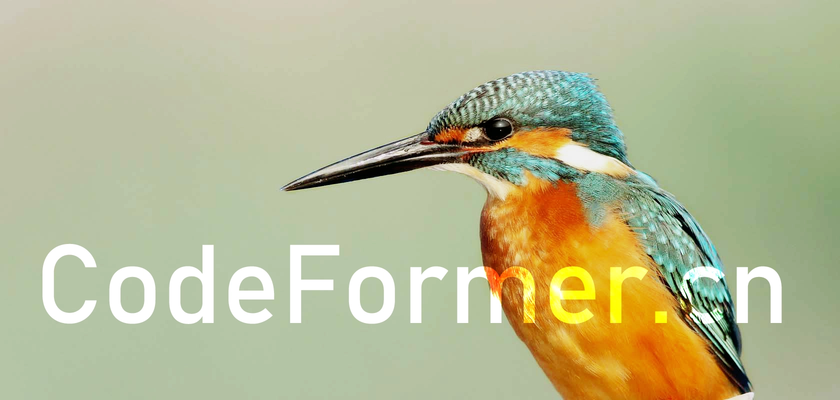 人脸清晰化神器CodeFormer图形界面包GUI一键安装版离线版工具包去马赛克 - CodeFormer